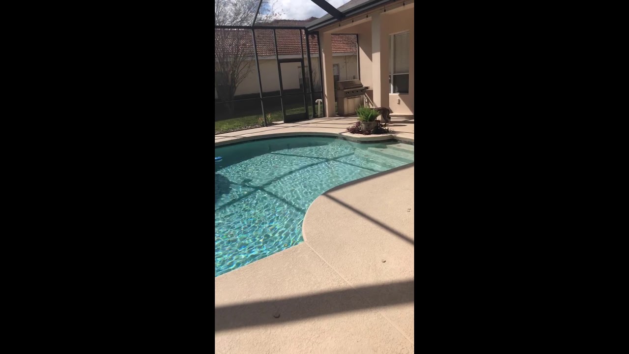 Northern Dog vs Chlorine Floater - YouTube
