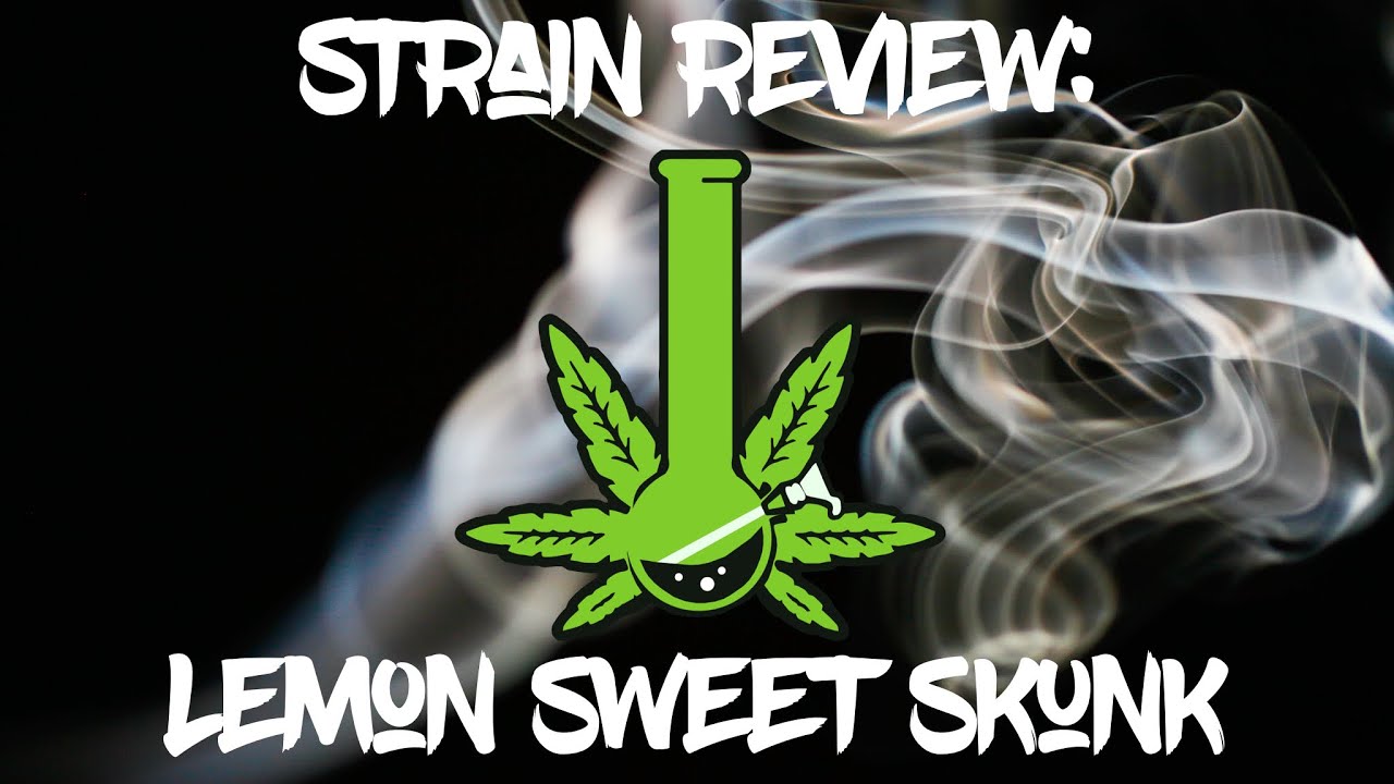 Lemon Sweet Skunk - Strain Review - PA Medical Marijuana - YouTube