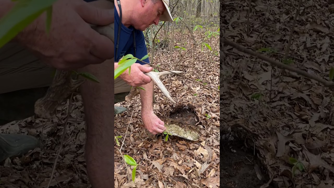 Watt Key insider information about BEAST - YouTube