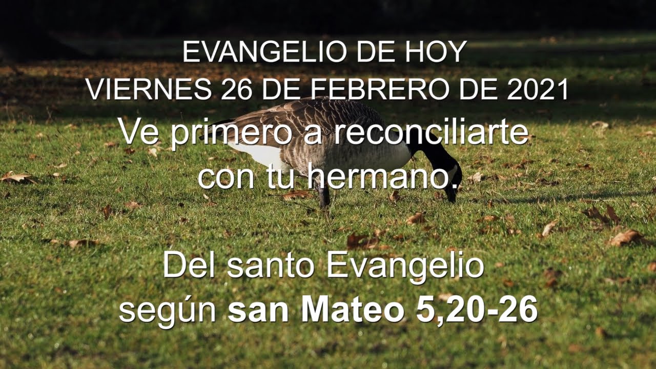 Evangelio según san Mateo 5,20-26. Lectura y Reflexión, viernes 26 de ...