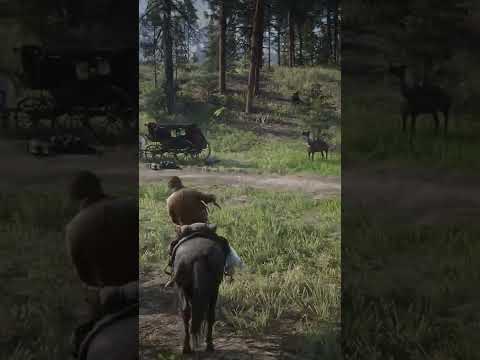 Varmint Rifle is So Satisfying | RDR2 - YouTube