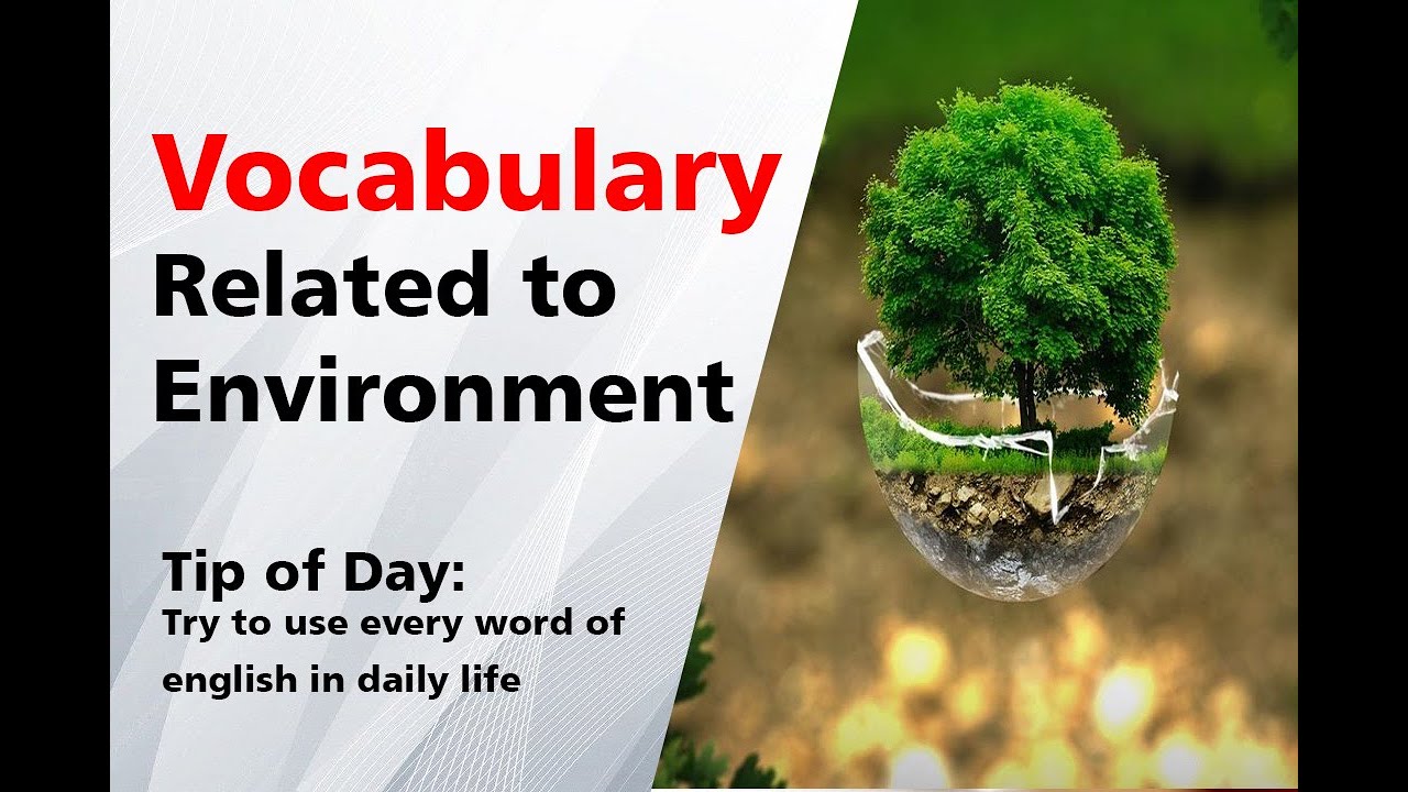 Vocabulary for Ielts -Topic Environment --Use these 10 words to score ...