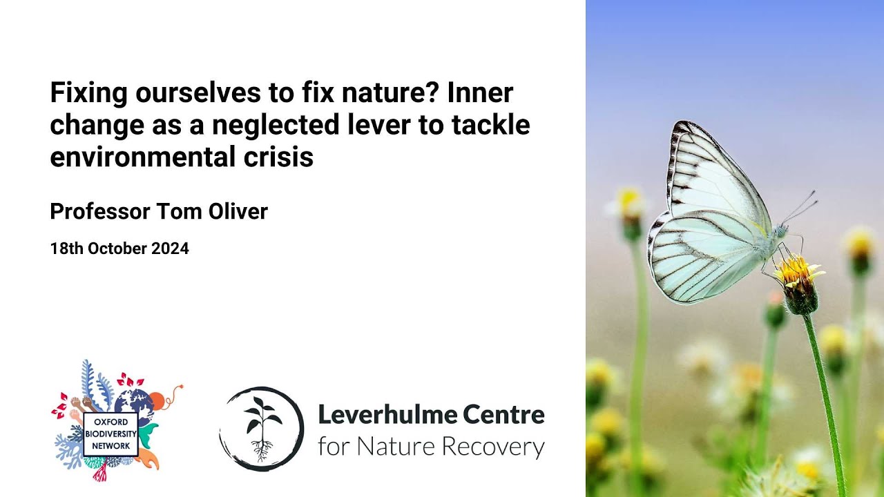 Fixing ourselves to fix nature? Inner change as a neglected lever to ...