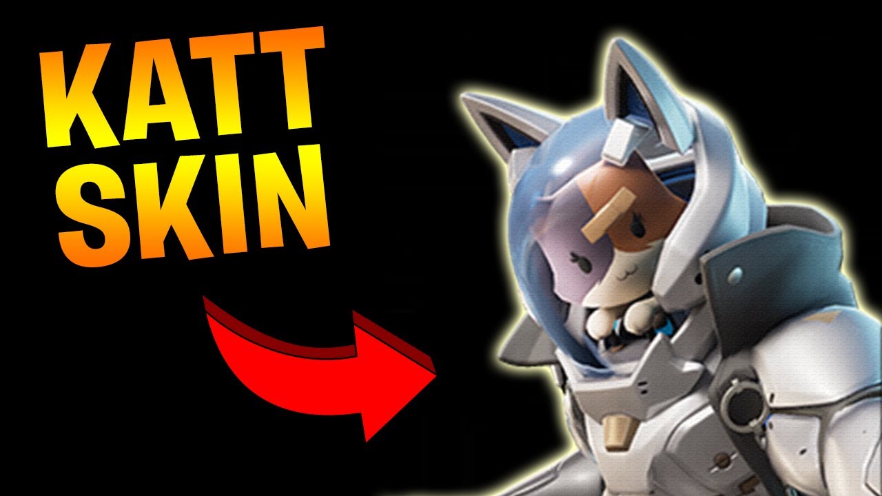 FREE BUILD COM A SKIN KATT I FORTNITE - YouTube