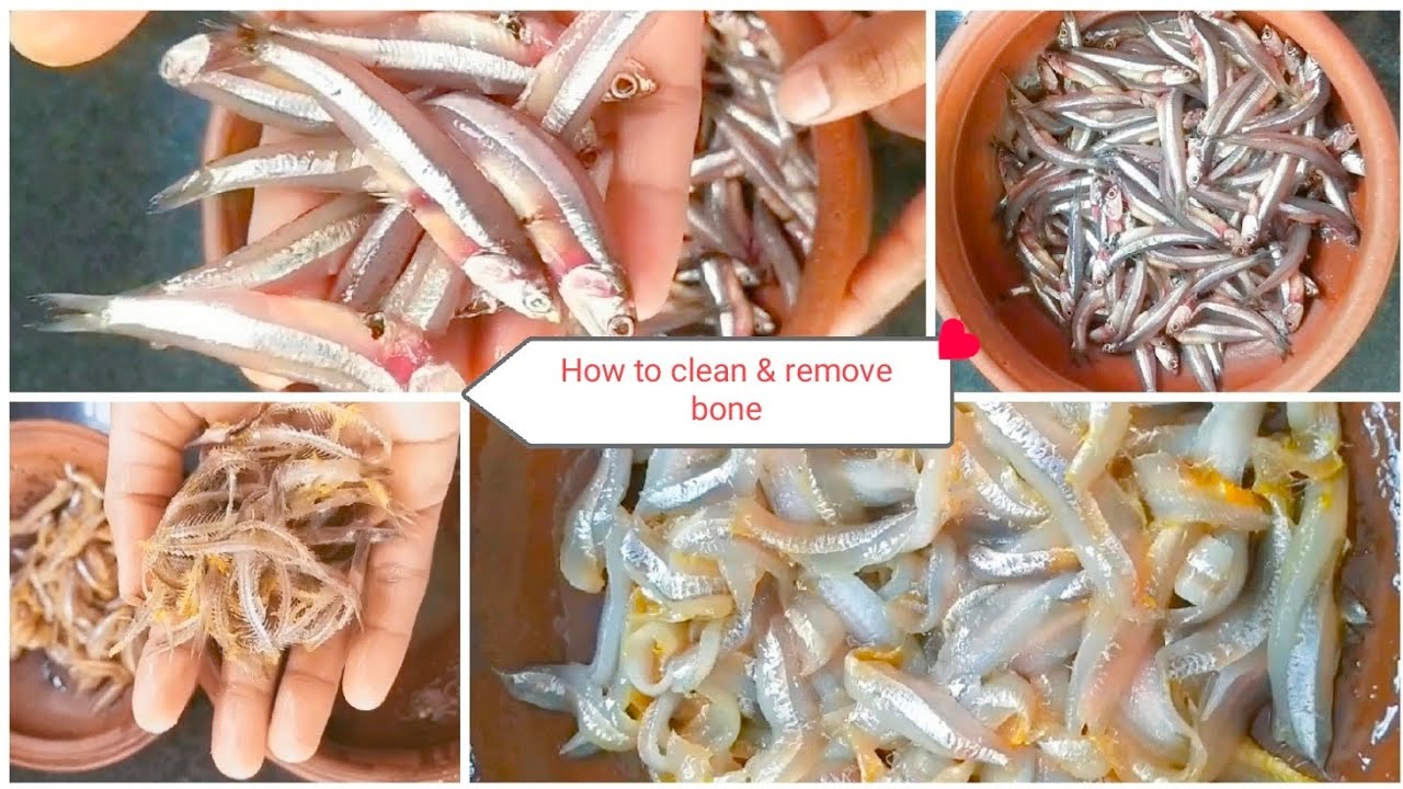How to clean Anchovy Fish🐟 Cleaning || நெத்திலி மீன் சுத்தம் செய்வது ...