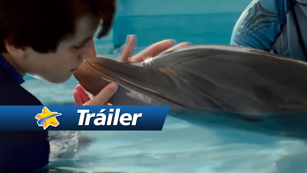 Winter El Delfín 2 (Tráiler) - YouTube