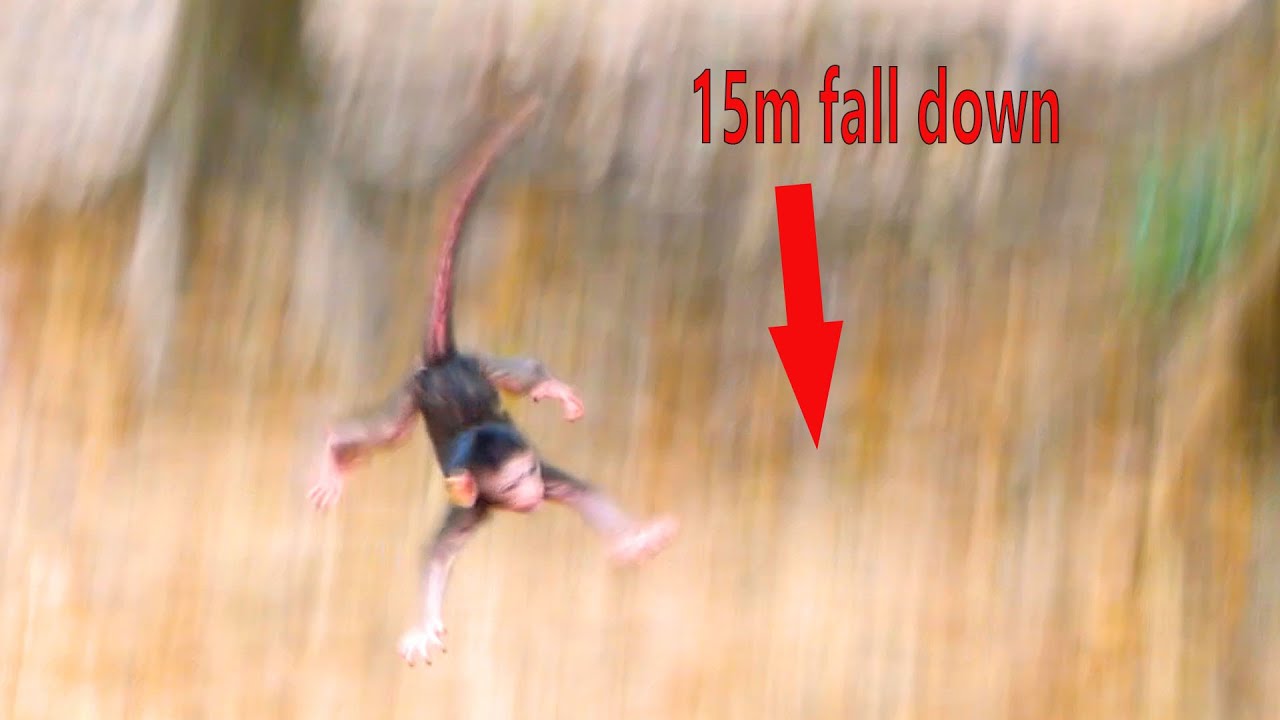 15m fall down! million Sad new born baby fall down from high by mom ...
