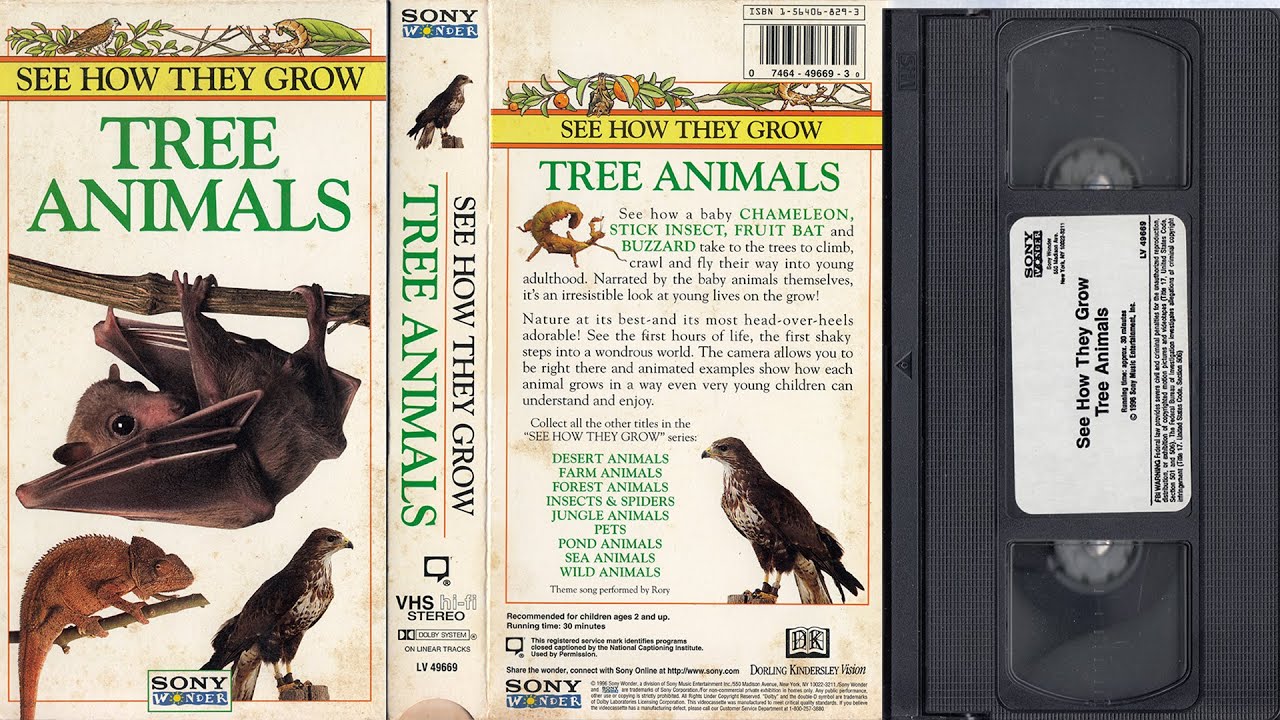 See How They Grow: Tree Animals (1996) VHS 60fps - YouTube