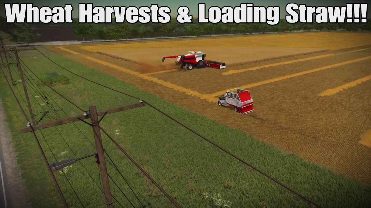 Wymark, Canada: Solo: Episode #1. Durum Wheat Harvests + Loading Straw ...