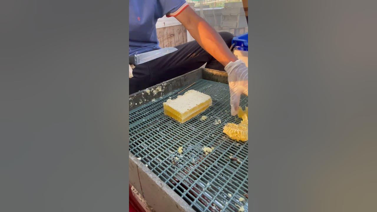 honeycomb 1box 0.5kg - YouTube