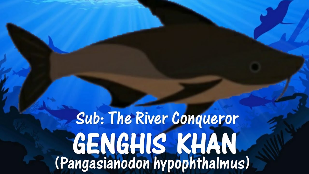 Casting Away Catches #8: Genghis Khan | The Fish That Conquered the ...