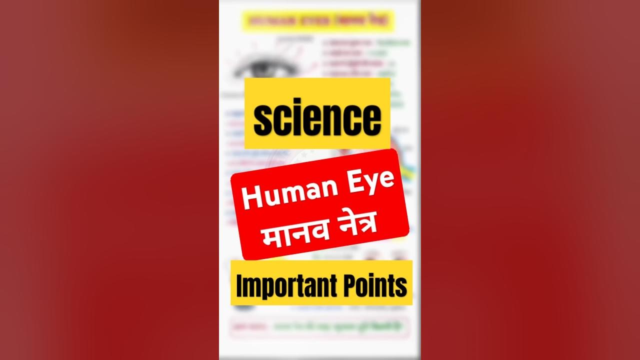 मानव नेत्र की संरचना। Structure of human eye। manav netra ki sanrachna। class 10th science - YouTube