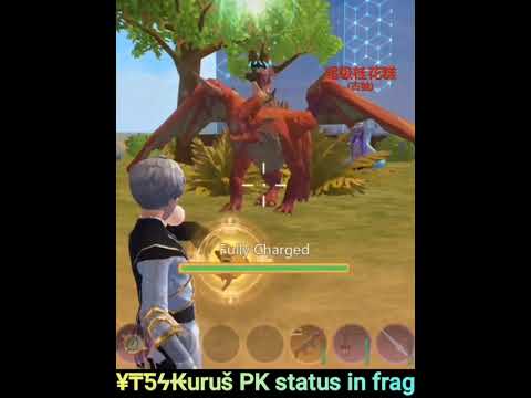 PK status in frag