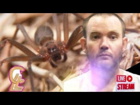 Joseph Antonsen~Needs to Answer! Venomous Spiders ~ No Water Urine ...