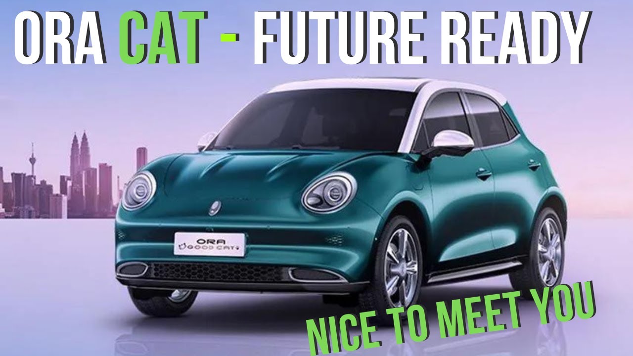 Introducing ORA CAT: The Perfect Companion - YouTube