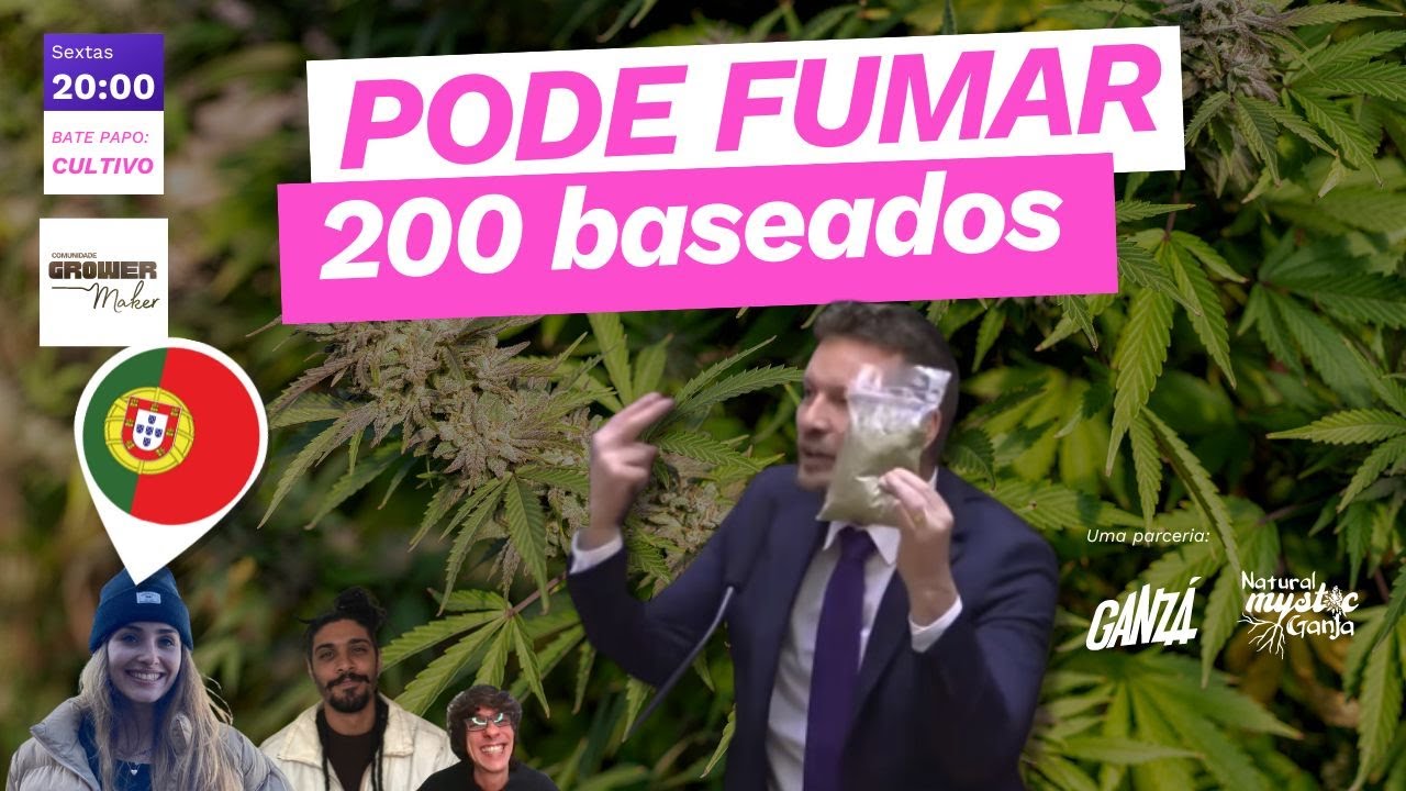 Quem Fuma 200 Baseados??? Legalização em Portugal e Avanços no Brasil ...