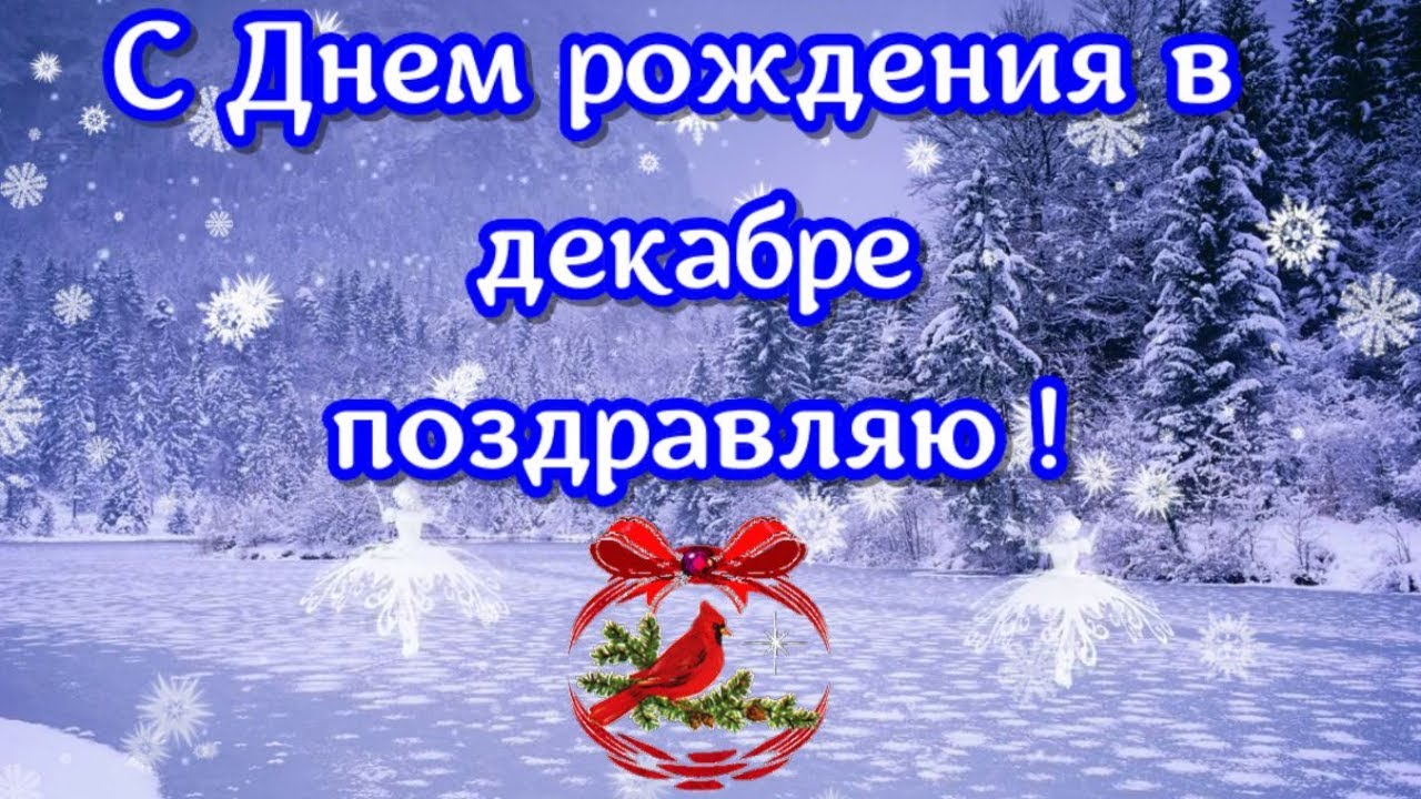 С Днем рождения в декабре Красивое видео поздравление открытка💐