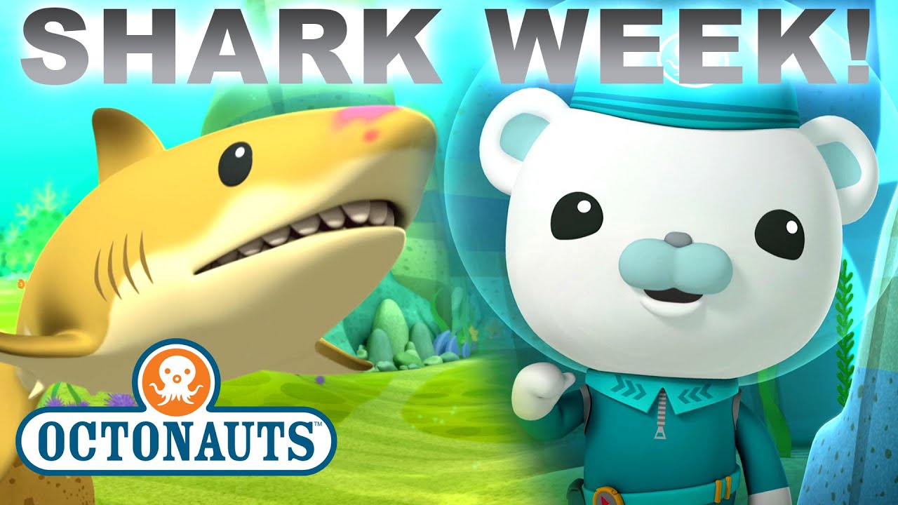 @Octonauts - 🤗 Hurray Sharks! 🦈 | Shark Week | Compilation | @Kidzuko ...