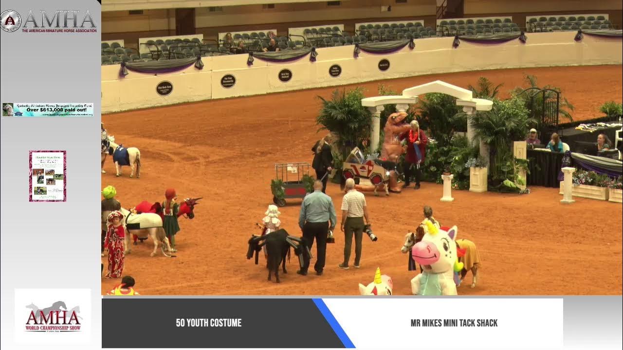 2023 AMHA World Show Sunday September 24 - YouTube