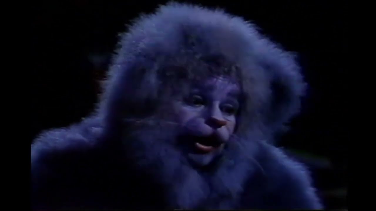 Chat Boume : Pleine Lune - YouTube