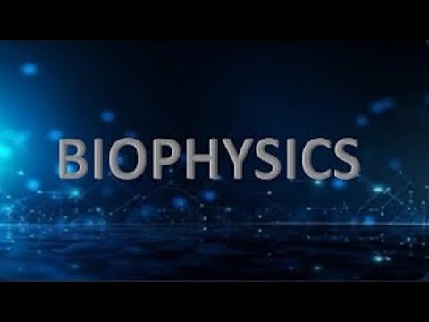 Chapter 5 - Part 1 - YouTube
