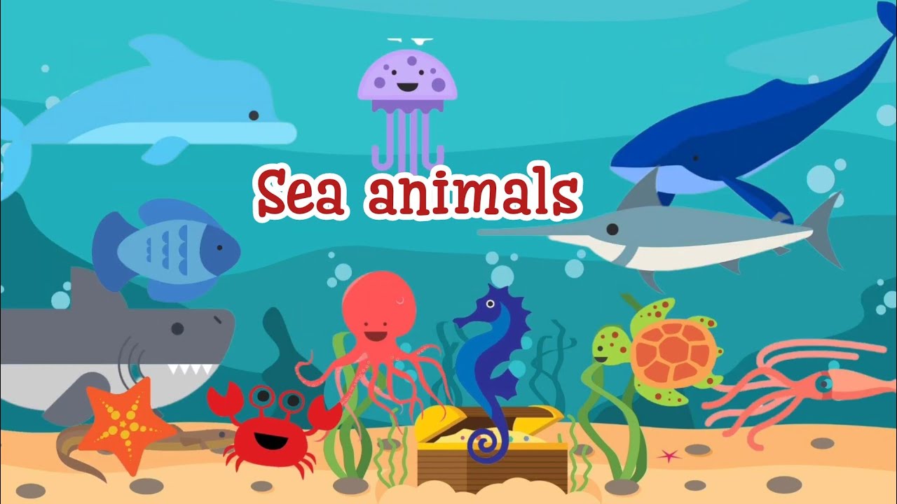 Sea animals flashcards - Learn English vocabulary with pictures ...