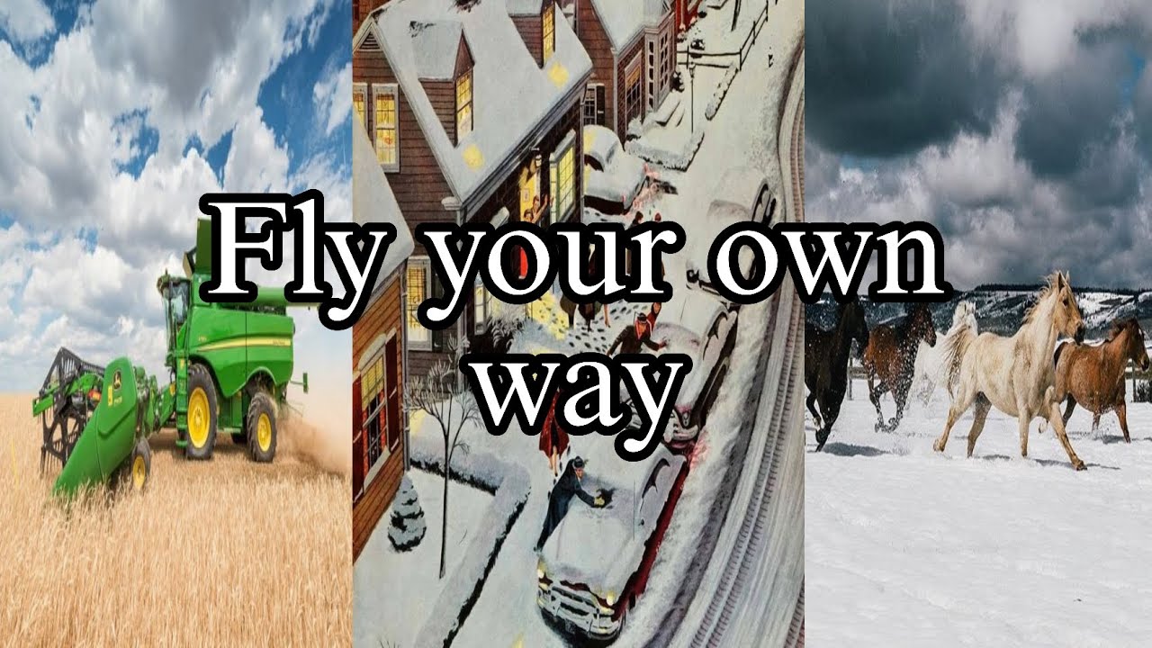 fly your own way💗 #fly #your #own #way - YouTube