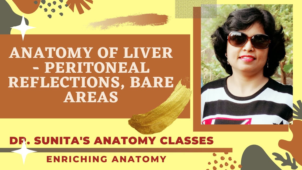 Anatomy of liver - peritoneal reflections, bare areas - YouTube