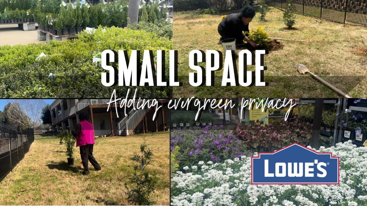 Lowe’s inventory | adding privacy to a small backyard | welcome home ...