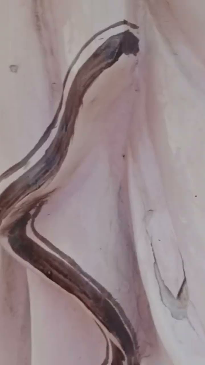 20 June 2024 - YouTube