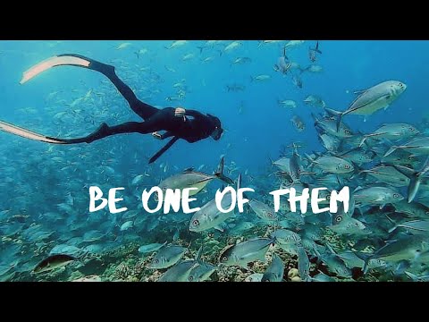 Freediving Philippines | Play and Dive Resort Bauan Batangas - YouTube