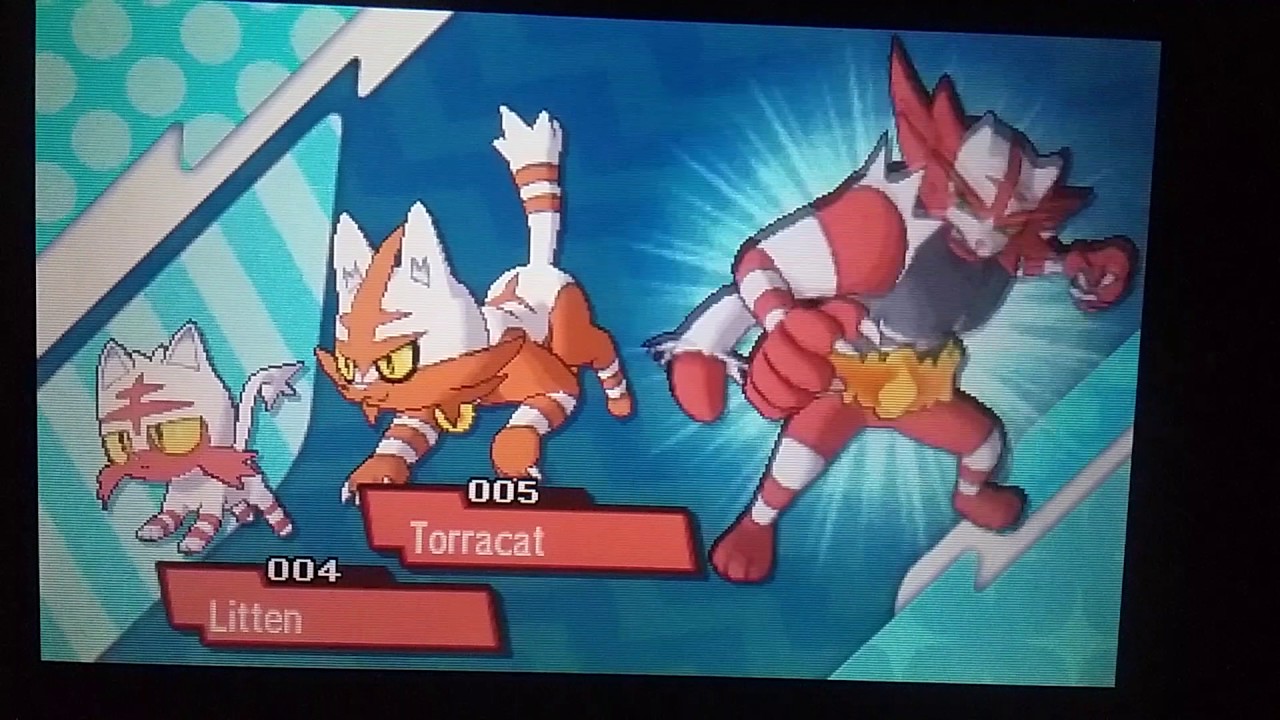 Torracat shiny - YouTube