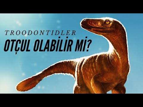 Troodon Gerçeği! Etobur olmayabilirler mi?