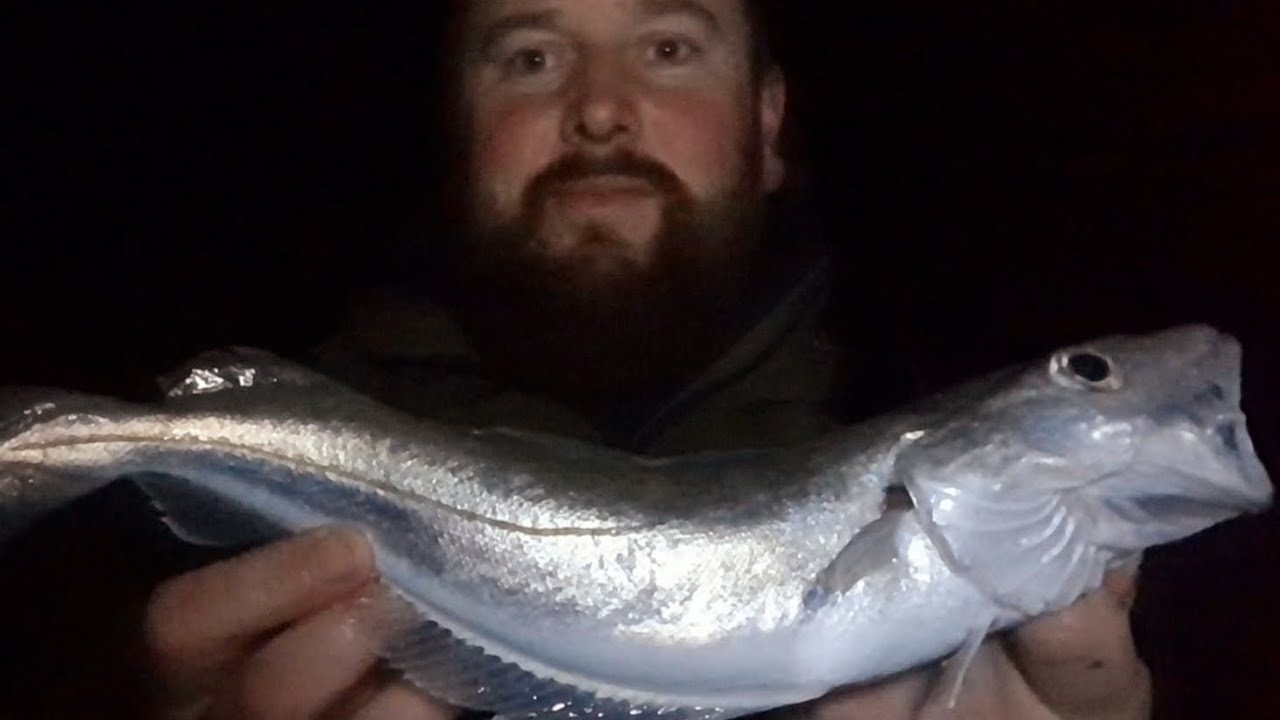 Cod Fishing North Wales, are they there? #seafishinguk #fishing - YouTube