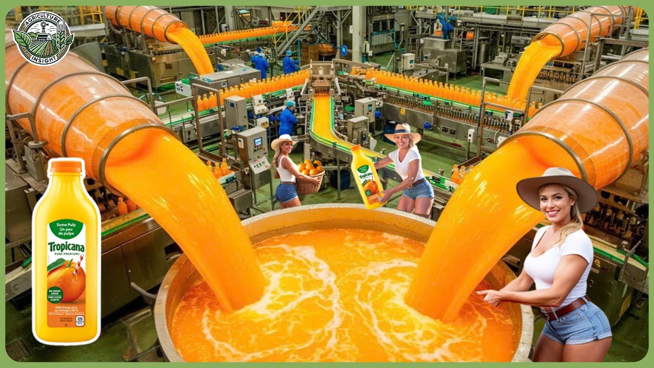 How Billions Orange Juice Bottles Are Produced – Amazing Orange Juice ...