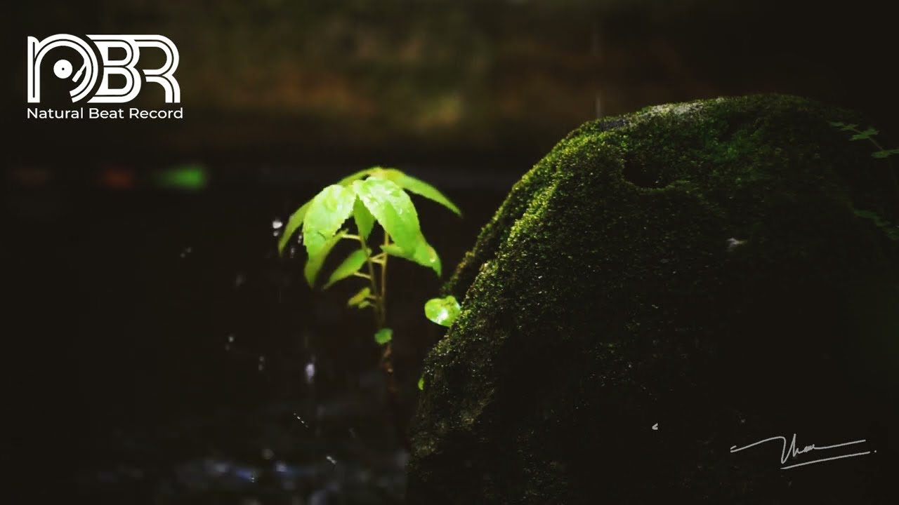 Audiophile Music Collection 2019 - Relax Music - Deep Sleeping Music ...