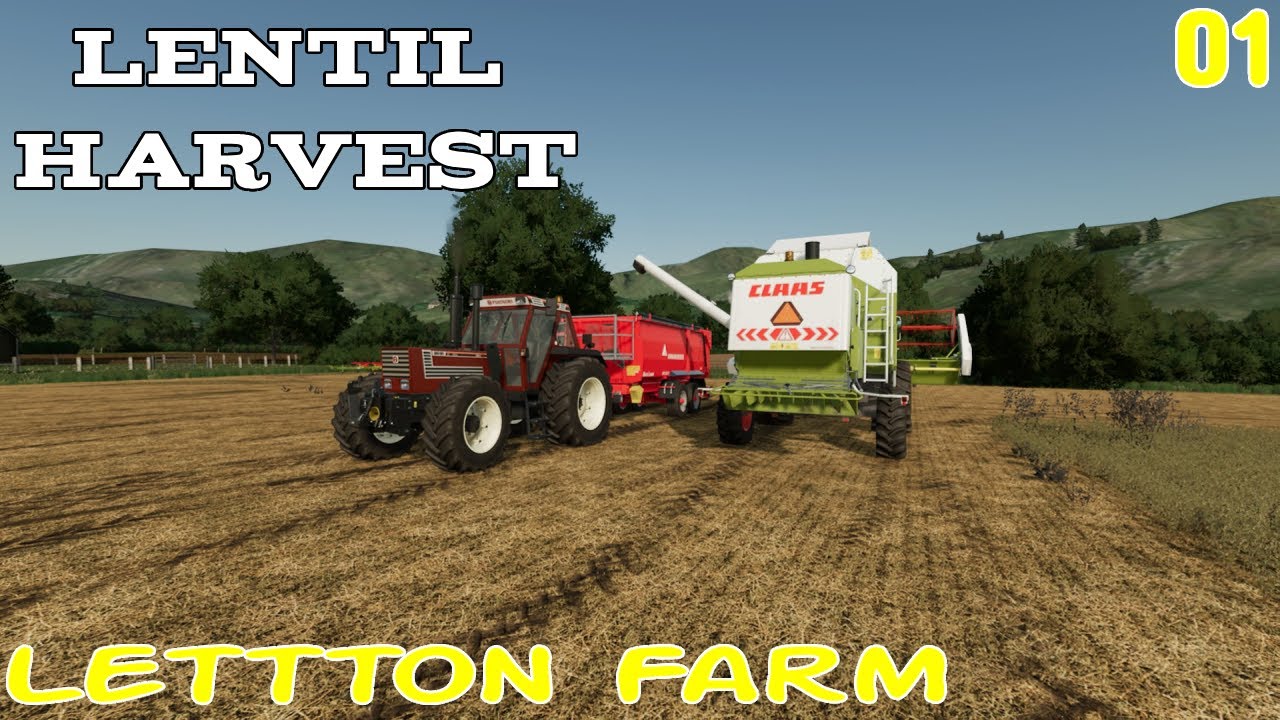 Lentil harvest on Letton! - Letton Farm Episode 1 - Farming Simulator ...