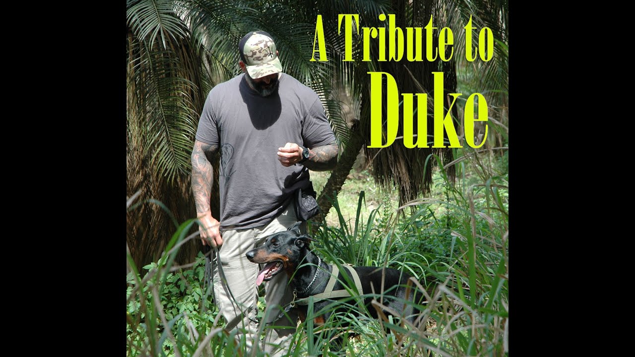 Honoring K9 Duke: A Hero, Actor, and Beloved Companion - YouTube
