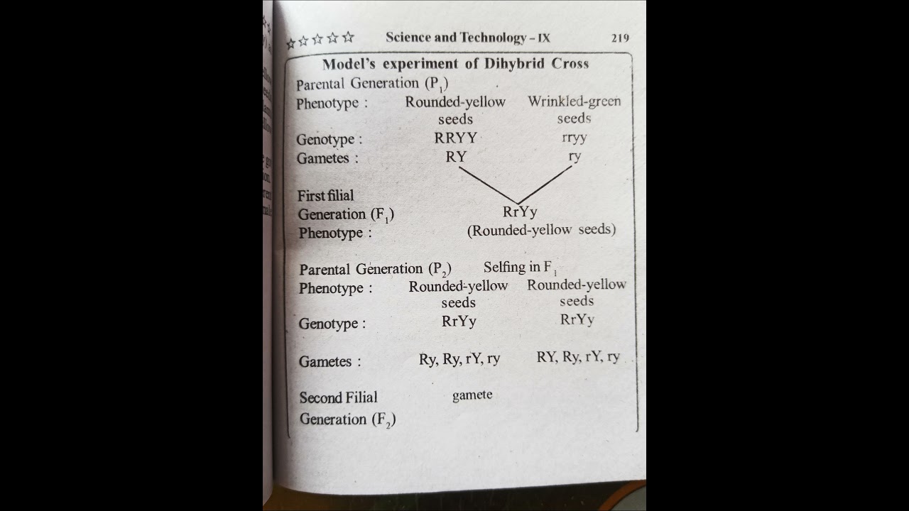 16. Heredity and variation class 9 science exercise solution answers ...