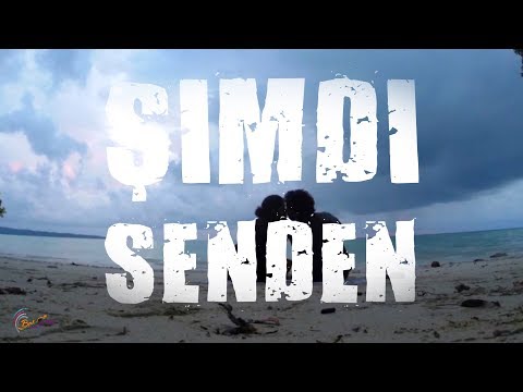 YALIN - HER ŞEY SENSİN ( KİNETİK TİPOGRAFİ )
