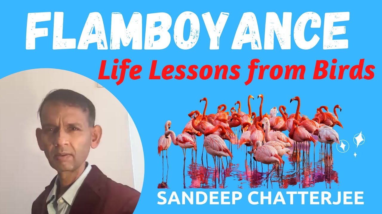 FLAMBOYANCE| Life Lessons from Birds | Concept & Narration : Sandeep ...