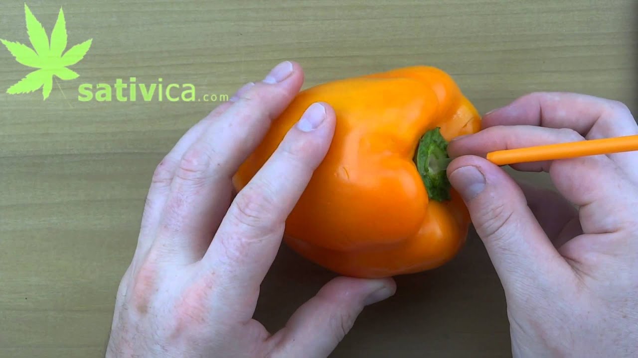 How to Make a Bell Pepper Bong - YouTube