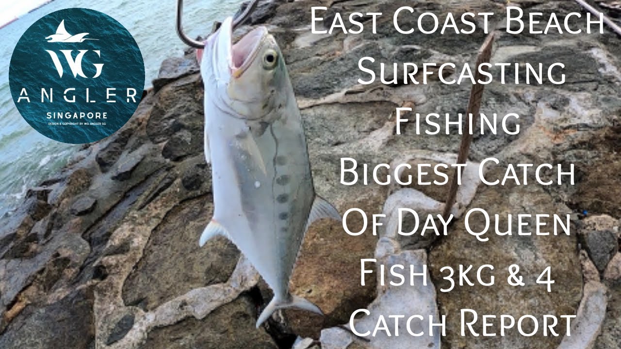 East Coast Beach Surfcasting Fishing Biggest Catch Of The Day Queenfish ...