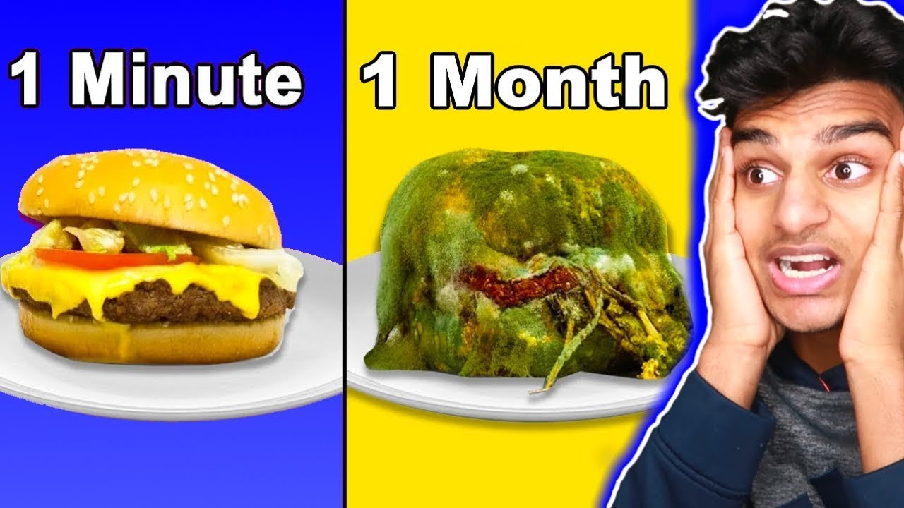 This FOOD Time Lapse Video Will SHOCK YOU | Food Time Lapse (You WON’T ...