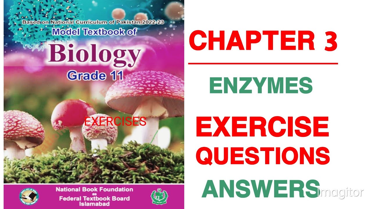 Biology 11th new NBF Chapter 3 Enzymes Exercise Questions Answers|| NEW ...