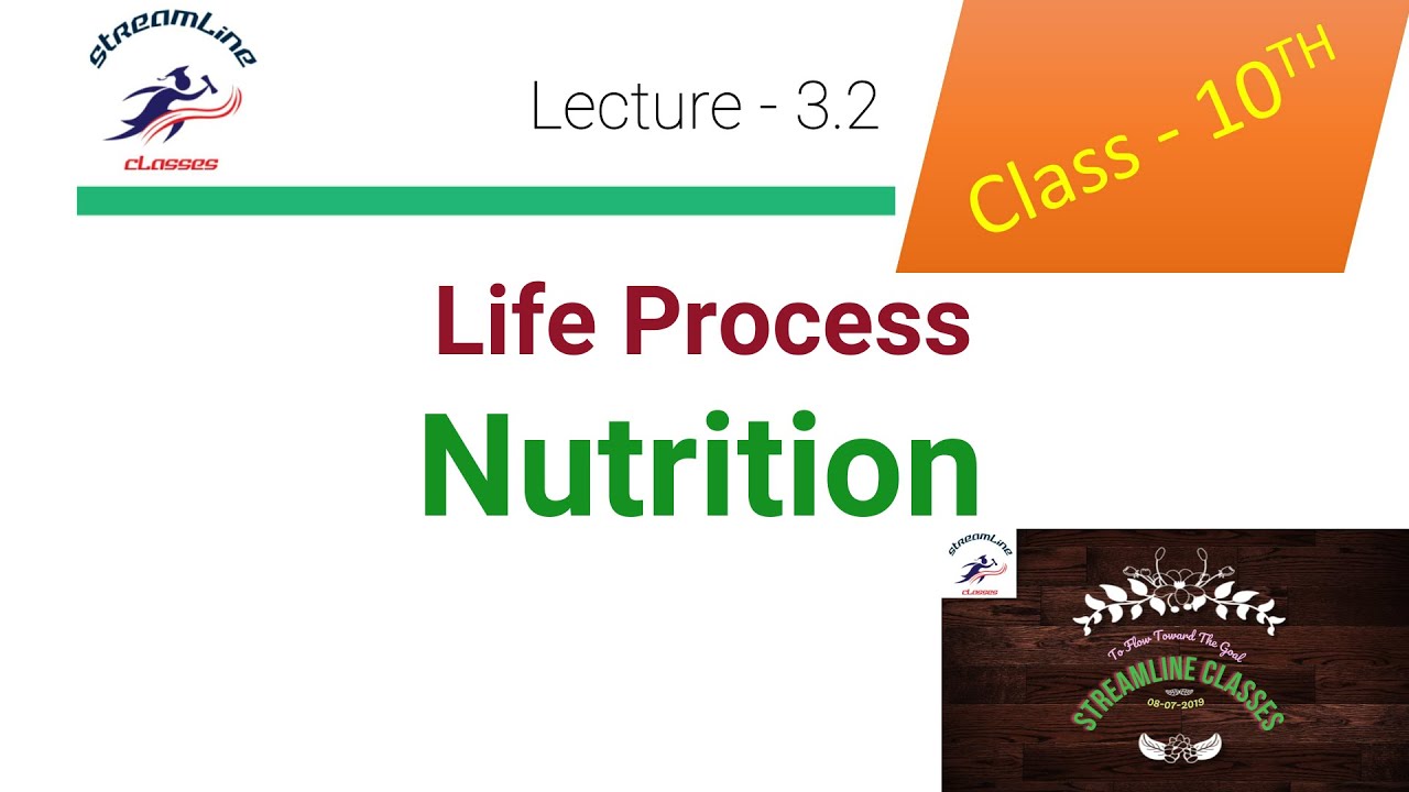 Life Process Class 10th (Nutrition) - Lecture -3.2 - YouTube