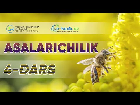 Asalarichilik 4-dars, Asalarichilik darsarini biz bilan bepul o'rganing.