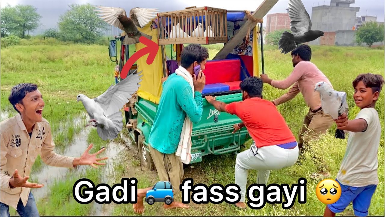 Finally mini zoo per good news 😍 ( Khush khabri 🎁) - YouTube