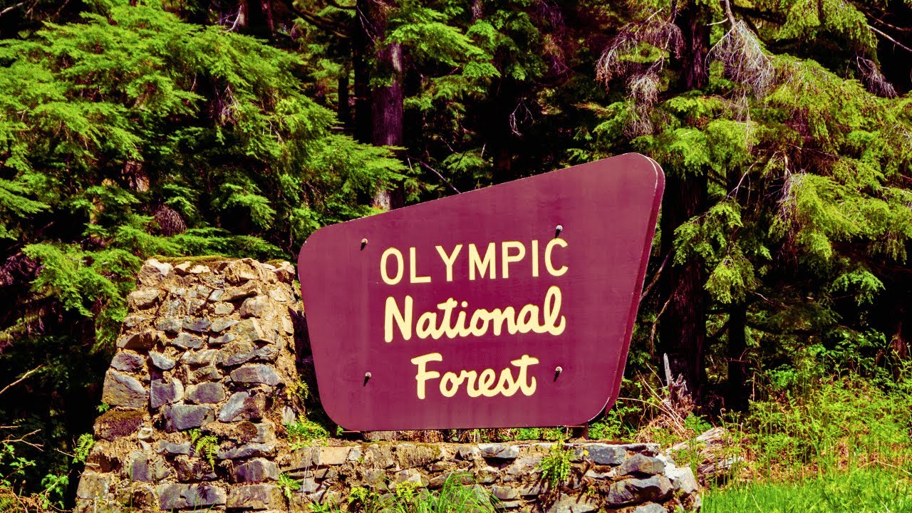 "Hidden Gems of Olympic National Park: 4K Visual Expedition" - YouTube