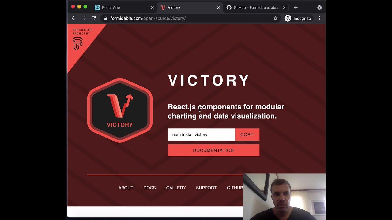 Integrating d3.js with React - Integrating Popular Chart Libraries Built on D3 - Victory - YouTube
